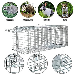 Large Animal Trap Cat Trap for Stray Cats Humane,Small Dogs,Fox,Rabbit,Groundhog,Squirrel,Raccoon,Chicken,Opossum, 32inch Live Traps for Animals Outdoor Indoor Collapsible Steel Release Cat Trap Cage