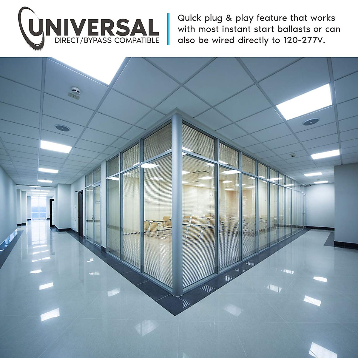 LUXRITE 2FT LED Tube Light, T8, 11W (17W Equivalent), 6500K Daylight, 1100 Lumens, Fluorescent Light Tube Replacement, Direct or Ballast Bypass, ETL Listed, Check Ballast List Compatibility (2 Pack)