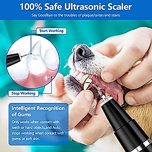 Ni-SHEN Dog Plaque Remover for Teeth，Pet Ultrasonic Tooth Cleaner Toothbrush，Teeth Cleaning Kit -Tartar Remover for Teeth Stains for Dogs and Cats (Black)