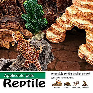 MCLANZOO Reptile Carpet 40 Gallon Upgrade Package Pet Terrarium Liner Reptiles Cage Mat, Substrate for Snakes, Chameleons Geckos and Kitchen Use(2 Sheets) with Tweezers Feeding Tongs