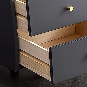 Solid Wood Nightstand Modern Bedside Table Rubber Wood End Table Scandinavian Side Table 2 Drawer Bedside Cabinet for Bedroom Living Room