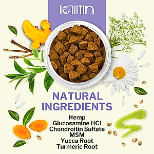 Dog Hip and Joint Supplement - Made in USA Dog Joint Supplement for Mobility Issues - Relief with Glucosamine for Dogs, MSM - 120 Count, Bacon Flavor - All Natural Dog Joint and Hip Supplement