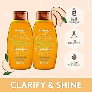 Aveeno Apple Cider Vinegar Sulfate-Free Shampoo for Balance & High Shine, Daily Clarifying & Soothing Scalp Shampoo for Oily or Dull Hair, Paraben & Dye-Free, 12 Fl Oz