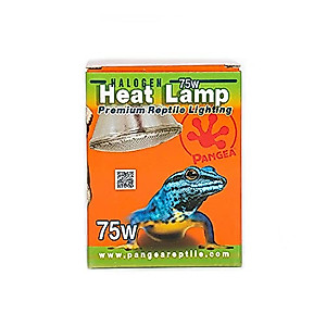 Pangea Halogen Heat Lamp for Reptiles (75 Watt)