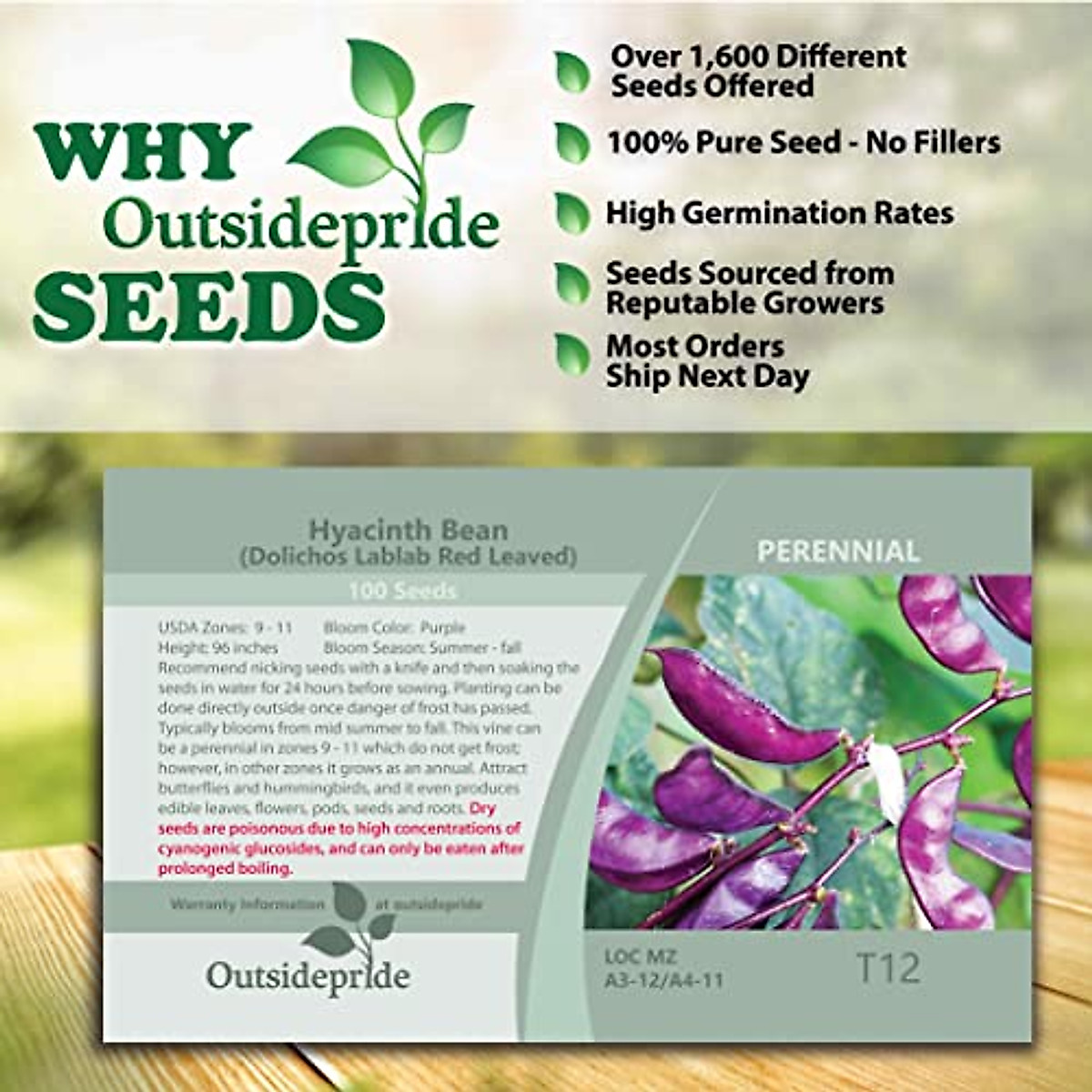 Outsidepride Dolichos Lablab Purple Hyacinth Bean Red Leaved Plant Climbing Vine Seed - 100 Seeds