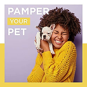 Cleansing Dog Shampoo for Smelly Dogs - Refreshing Colloidal Oatmeal Dog Shampoo for Dry Skin and Cleansing Dog Bath Soap - Moisturizing Lavender and Oatmeal Shampoo for Dogs and Great Smelling Pups