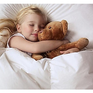 Toddler/Travel/Crib Goose Down Comforter Duvet/Blanket Multifunctional,100% Organic Cotton Washable Unisex Kids,All Season,White 33x43