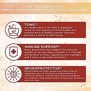 Turmeric Gold Drops & Morning Multivitamin (Raspberry) Bundle | USDA Organic Herbal Liquid for Immune & Digestive Support | Liquid Vitamins for Immune Support & Overall Wellness