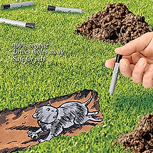 Collections Etc Organic Gopher & Mole Repellent Capsules, Grey