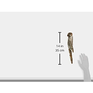 Hansa Flying Squirrel Plush