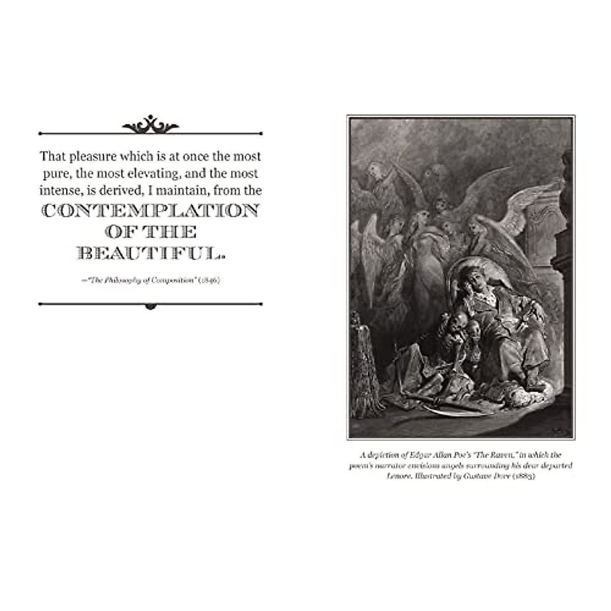 The Edgar Allan Poe Signature Notebook: An Inspiring Notebook for Curious Minds (The Signature Notebook Series)