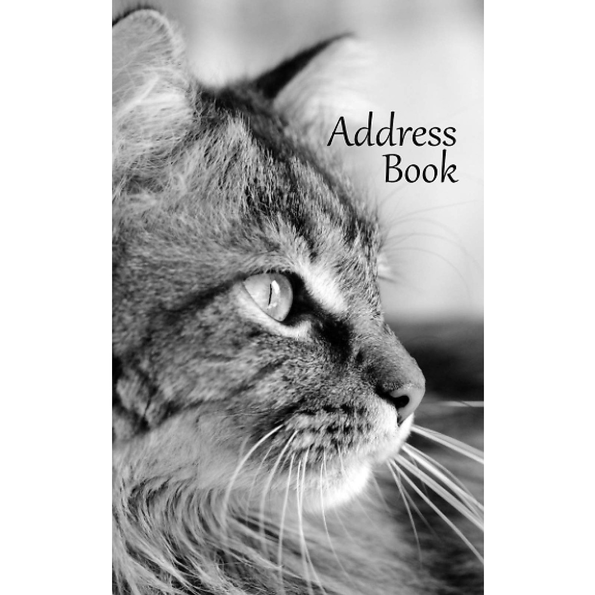 Address Book: Maine Coon Cat Address Book: Keep Addresses, Phone Numbers, Emails, Websites, and Birthdays!