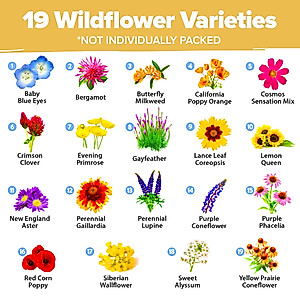 HOME GROWN Wildflower Seeds (3oz) 89,000+ Flower Seed Mix | No Filler | 19 Varieties, USA-Sourced Bulk Wild Flowers Seeds for Planting, Butterfly & Pollinator Perennial and Annual Wild Flower Mix