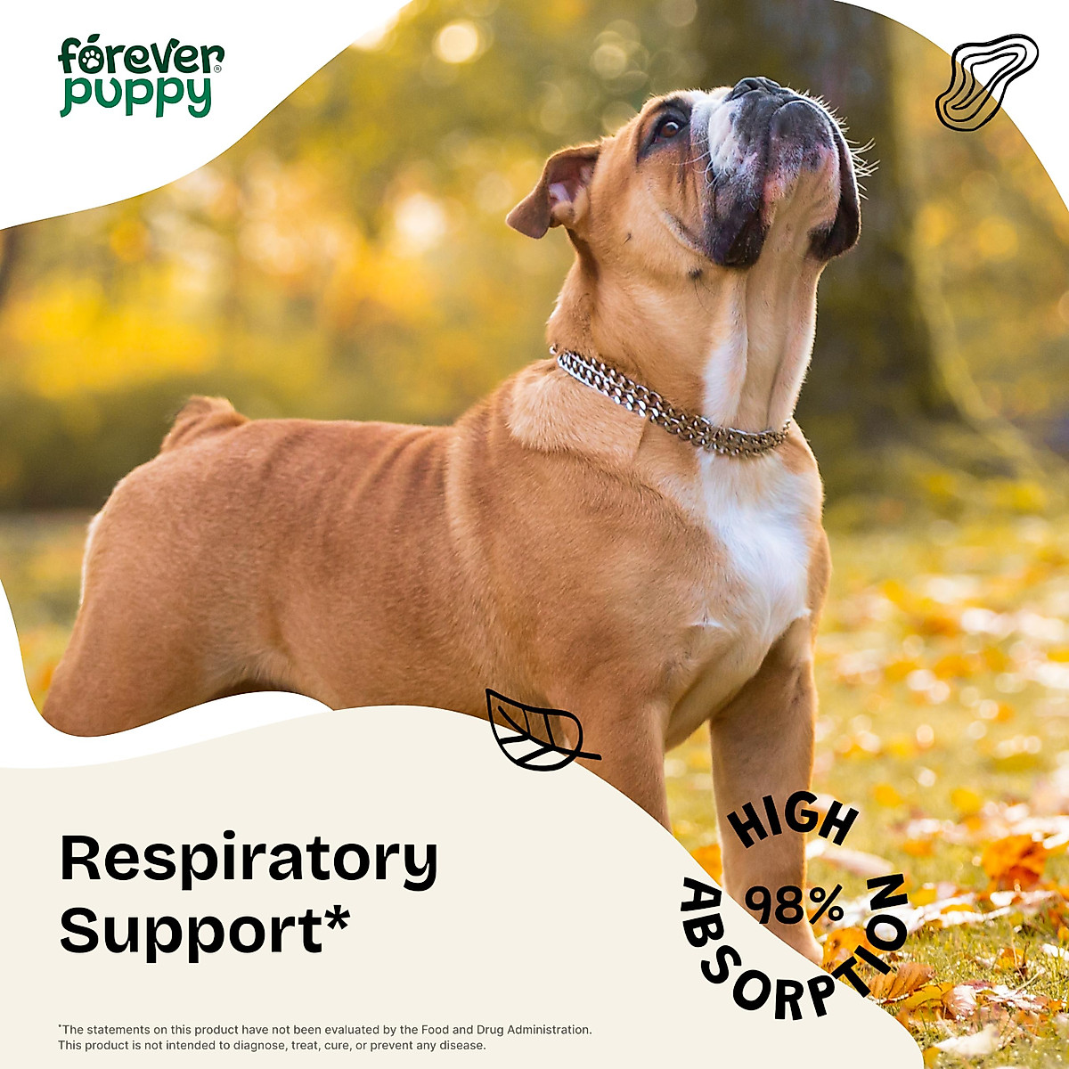 Licorice Root Tincture for Dogs - Respiratory Health Supplements - Lung Support Drops for Pets - Liquid Dog Vitamins and Supplements for Lung Detox & Cleanse - No Preservatives - 2 oz