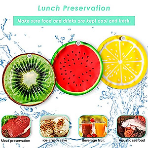 Reusable Ice Pack for Lunch Box- Cooler Pack Lunchbox - Keep Food Fresh- Perfect for Everyone's Lunch Preservation (3 pack)