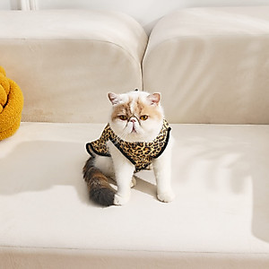 Jiupety Cat Surgical Recovery Suit, Cat Bodysuit for Abdominal Wound After Surgery Or Skin Diseases, Substitute E-Collar, L Size, Anti-Licking Surgical Cat Onesies, Leopard.