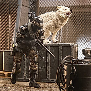 G. I. Joe Wolf Classified Series Snake Eyes & Timber Action Figures 52 Collectible Premium Toys, 6-Inch Scale, Custom Package Art, F4321