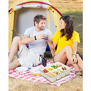 2 Pack Portable Snackle Box Container, Divided Serving Tray with Lid and Handle, Fruits, Clear Snack Platter Organizer and Storage for Adults Child (11.81" L*8.85"W-2pcs-8 Compartments)