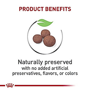 Royal Canin Medium Puppy Dry Dog Food, 6 lb bag