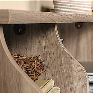 Sauder Graham Hill Desk, Salt Oak finish