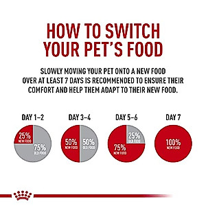 Royal Canin Hairball Care Dry Cat Food, 6 lb bag