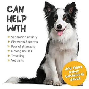 maxxipaws maxxicalm Natural Calming Supplement for Dogs - 120 Non-Drowsy Tablets