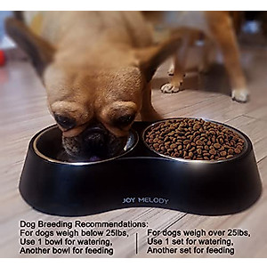 Joy Melody Cat Bowls with Stand for Food and Water, Anti-Slip Elevated Small Dog Dish, Anti-Flip Raised Pet Feeder, Dishwasher Safe with Microfiber Cloth