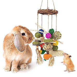 YDFAZXY Rabbit Chew Toys for teeth, Bunny Cage Hanging Chew Toys and Treats for rabbits, Rattan Ring with Snacks for Guinea Pigs Hamsters Chinchillas Rats Gerbils and Other Small Pets Teeth Grinding