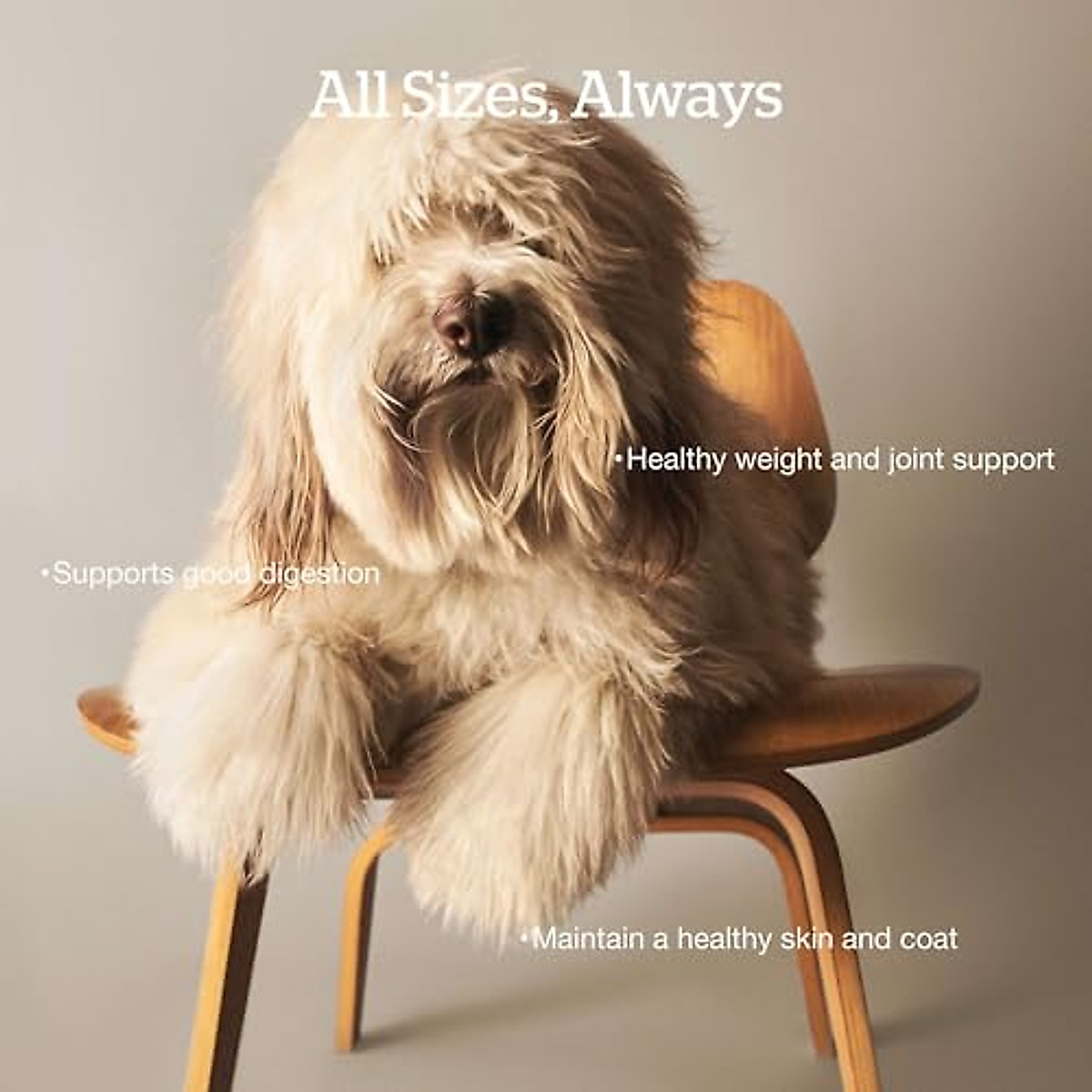 Now Fresh Grain-Free, Dry Dog Food, Real Meat and Fish, Turkey, Salmon and Duck Adult Recipe, All Breed Size, 3.5 lb Bag