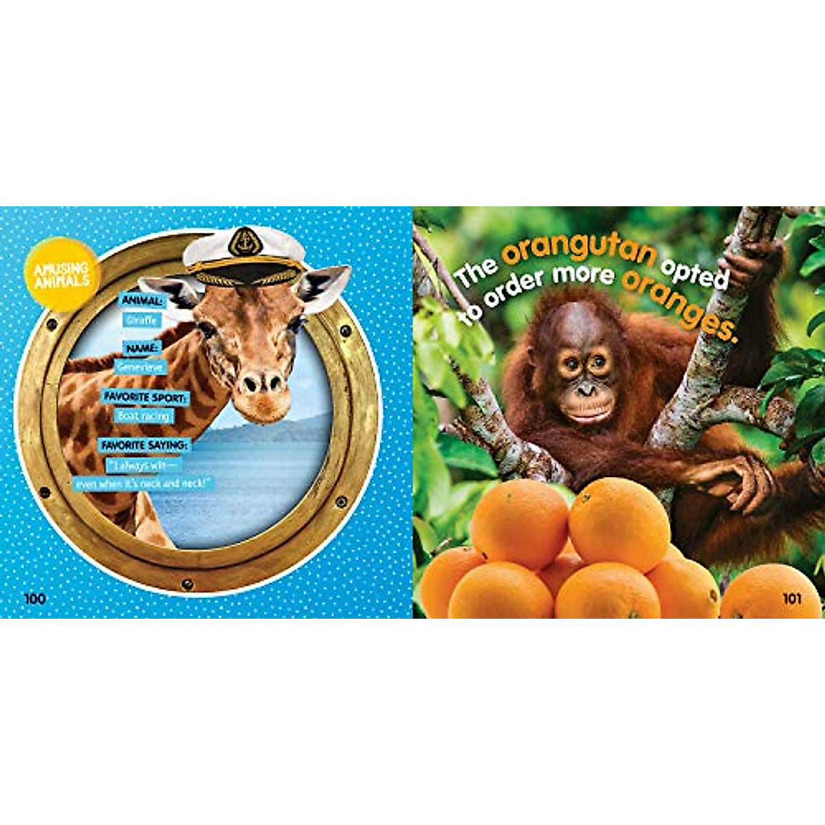 National Geographic Kids Funny Animals: CRITTER COMEDIANS, PUNNY PETS, and HILARIOUS HIJINKS