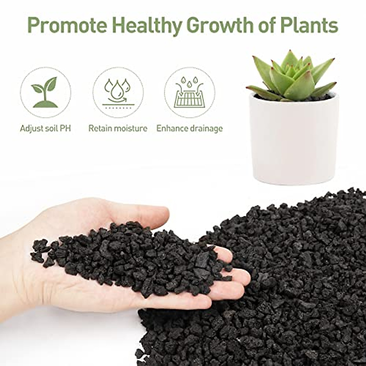 GASPRO 2.5lbs Lava Rocks for Plants, 1/5 Inch Black Gravel for Succulent, Cactus, Bonsai Tree, Pure Volcanic Rocks, Top-Dressing, Good Drainage