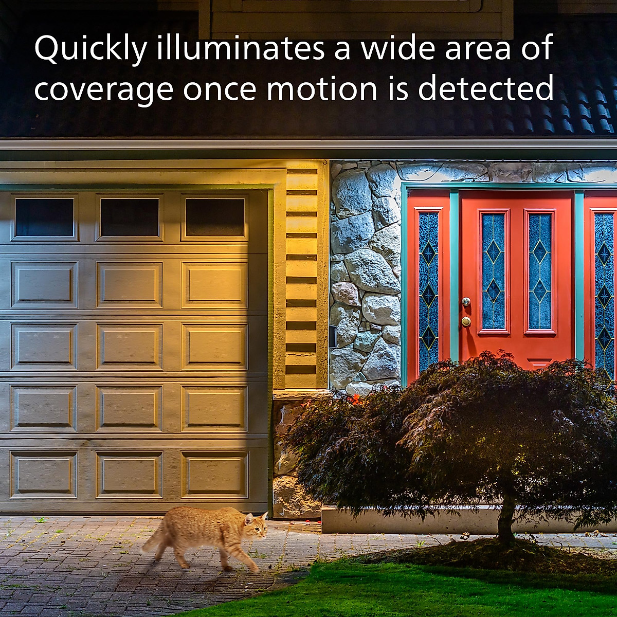 PHILIPS PAR38 Motion Sense LED Light Bulb - Flicker-Free Frosted Non-Dimmable Bulb with EyeComfort Technology - 120W Light Bulb with E26 Base - 2 Pack