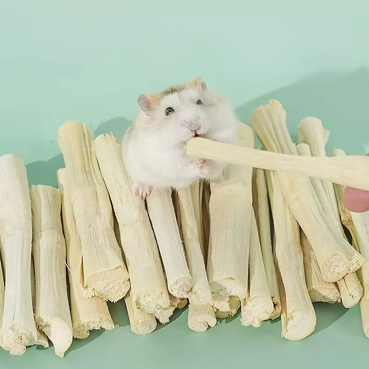 Sweet Bamboo Chew Sticks for Rabbits, Bunny Molar Treats Snack for Small Animals Hamster Chinchilla Guinea Pigs Rabbit Squirrel Natural Teeth Grinding Toys (500g/1.1lb)