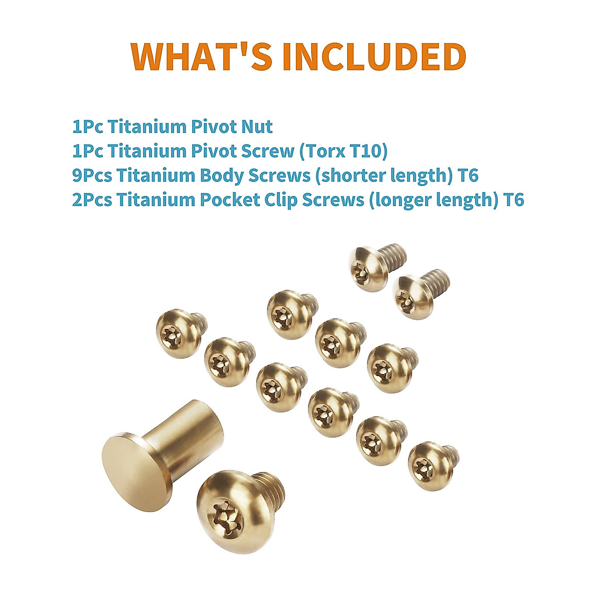 13Pcs Complete Titanium Screw and Pivot Dress Kit for Benchmade 535 Bugout, Mini Bugout 533 and Bailout 537, Includes Handle and Pocket Clip Screws, Gold