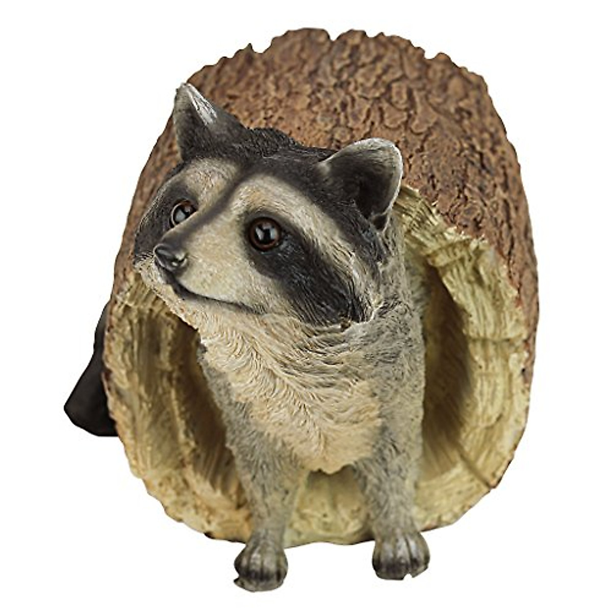 Design Toscano Bandit the Raccoon Indoor/Outdoor Garden Animal Statue, 7 Inches Wide, 10 Inches Deep, 7 Inches High, Handcast Polyresin, Full Color Finish