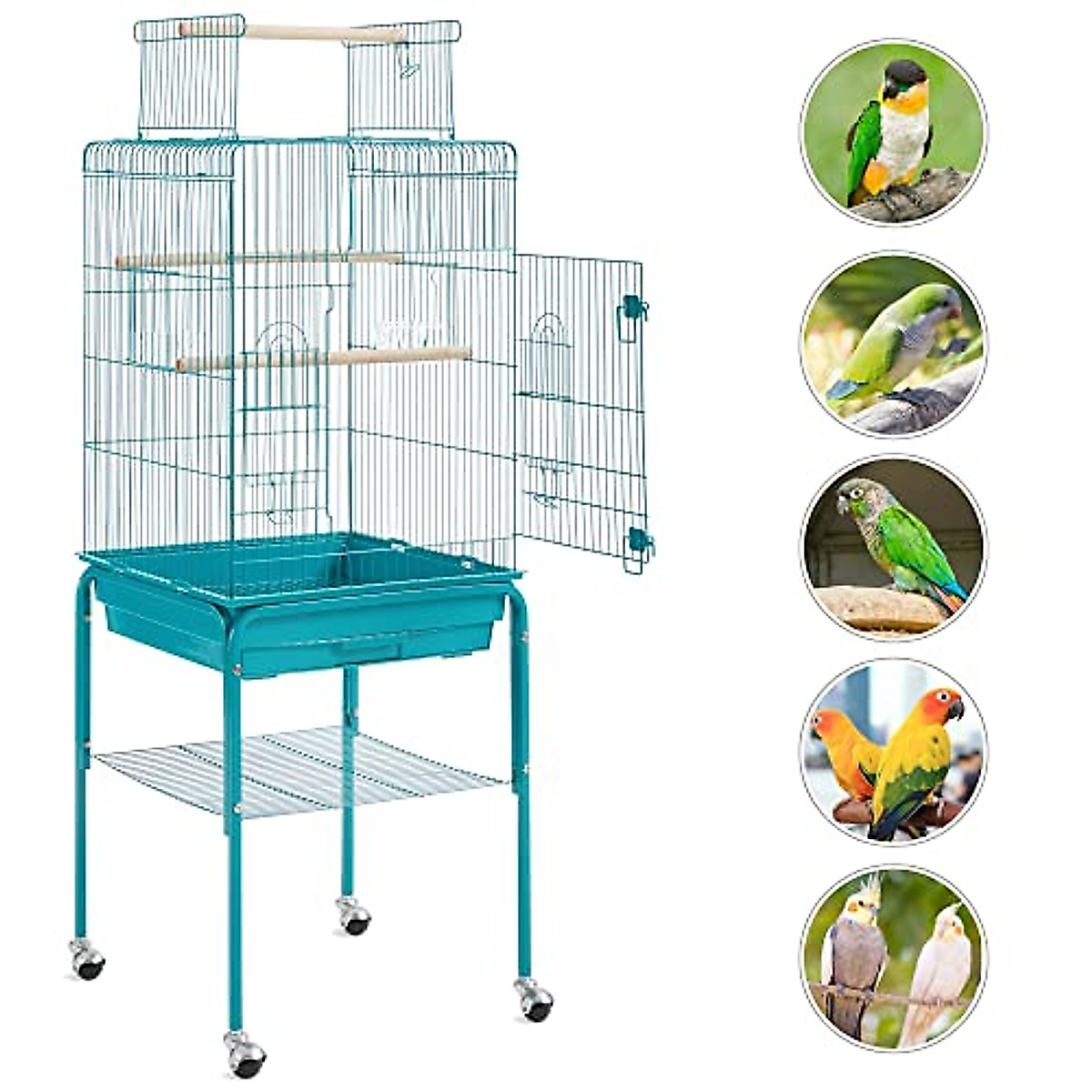 Topeakmart Metal Bird Cage Open Play Top Parrot Cage w/Detachable Rolling Stand for Small Birds, 53.5inch, Teal Blue