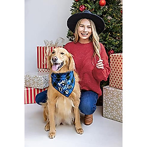 Ptzizi Funny Soon to Be Big Brother Blue Plaid Cotton Triangle Pet Dog Bandana Bibs Scarf for Pet Dog Lovers Gift