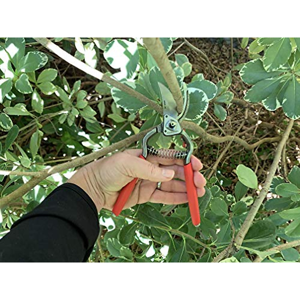 Corona Tools | ClassicCUT ClassicCUT® Branch & Stem Pruning Shears for Gardening | Cuts Branches and Stems up to 1-inch in Diameter | BP 15180