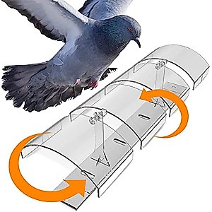 Petslandia Bird Deterrent System - Polycarbonate UV Resistant Pigeon Dissuasion, Cruelty-Free Pigeon Proof, Long Lasting, Suitable for Balconies, Patios and Outdoors (78 in)