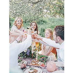 WZT 30 Pieces Silicone Drink Markers Wine Glass Markers Wine Charms Wine Glass identifier for Bar Party Family Drink Charms Multi，Dinner Parties