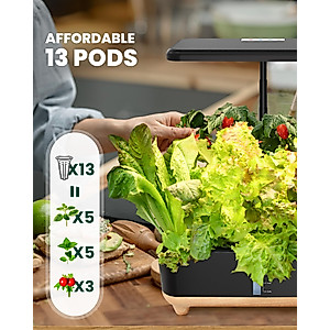 RAINPOINT Indoor Hydroponics Growing System,13 Pods Hydroponic Garden Planter, Vegetable Growing System Kit, Kitchen Christmas Gifts for Women, Hydro Garden Herb Grower