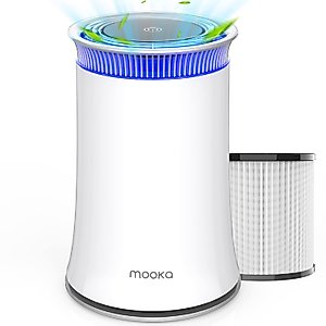 Air Purifier for Home, True HEPA Air Cleaner, Activated Carbon Filter, 3-Stage Filtration Air Purifies, Eliminate Pollen Pet Hair Dander Smoke Dust Odors Airborne Contaminants for bedroom,Ozone-free