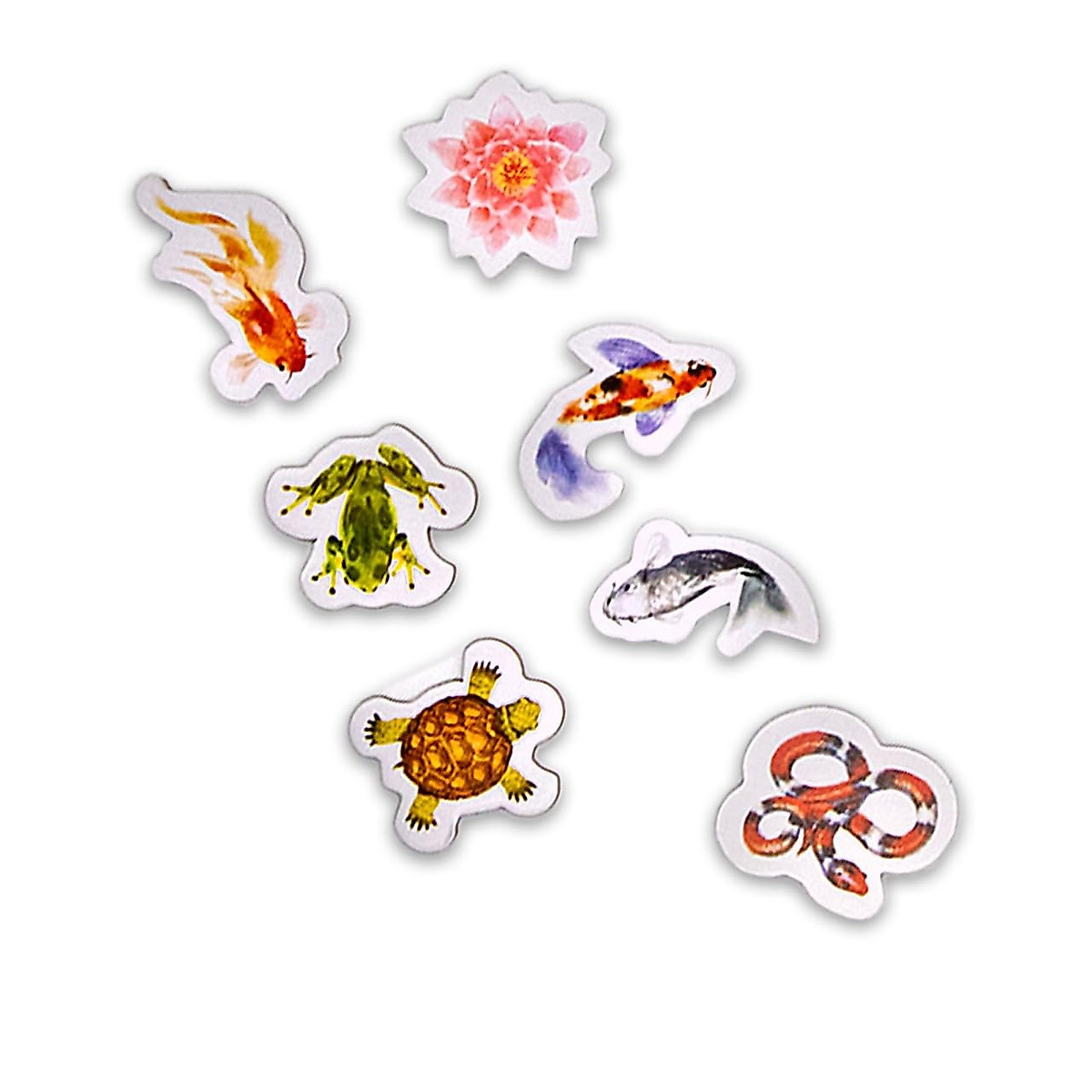 Koi Garden – Board Game 2-4 Players – Board Games for Family – 20-30 Minutes of Gameplay – Games for Family Game Night – Ages 7+ - English Version