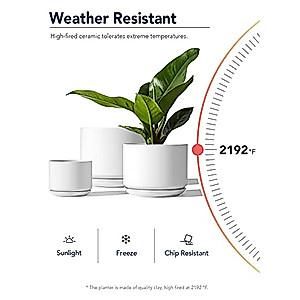 LE TAUCI Ceramic Plant Pots, 4.3+5.3+6.8 inch, Set of 3, Planters with Drainage Hole and Saucer, Indoor Flower Pot with Hole Mesh Pad, Gifts for Mom, White