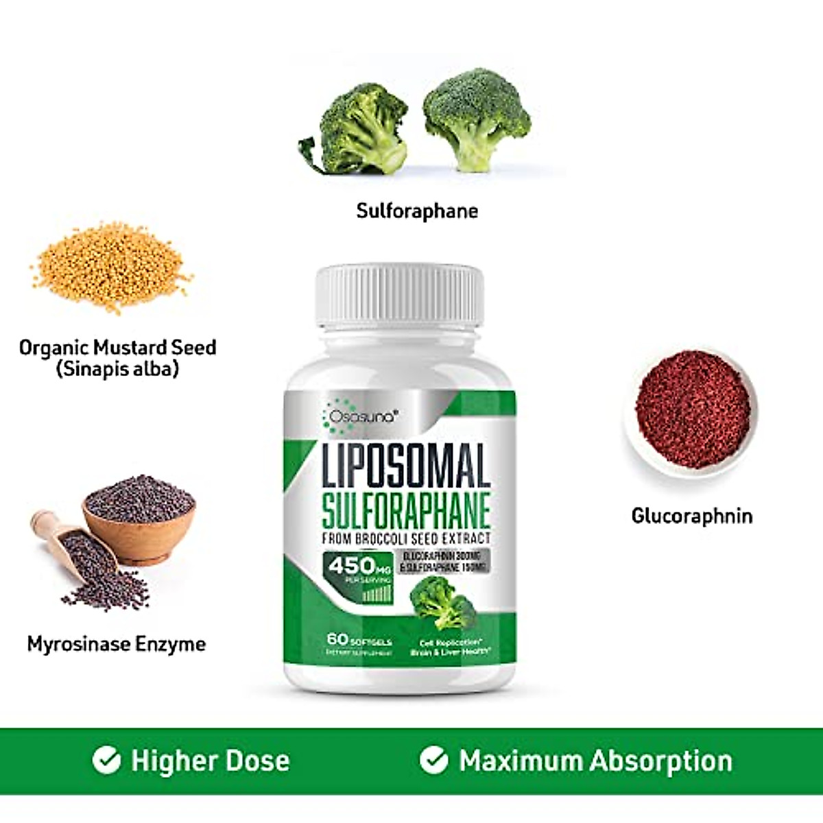 Osasuna Liposomal Sulforaphane 450MG, Maximum Absorption, Glucoraphanin with Myrosinase, Antioxidant Supplement from Broccoli Seed Extract, 120 Softgels