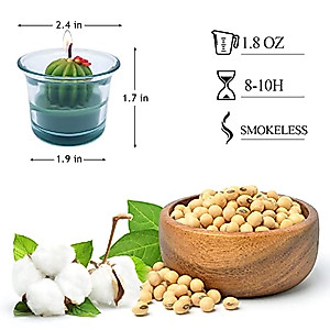 Amusaer Succulent Cactus Tealight Candles in Glass 12 Set Bulk Small Soy Wax Candles for Wedding, Party Favors, Baby Shower, Bridal Shower Green