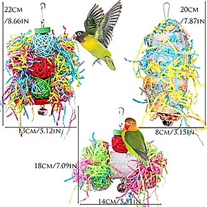 PBIEHSR Parakeet Bird Shredding Toys, Cockatiel Loofah Foraging Toys Shredder Chewing Toy for Conures, Love Birds, Budgie, Small Parrots