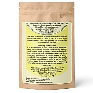 Texas Bluebonnet Seeds (Lupinus texensis) - Over 750 Premium Seeds