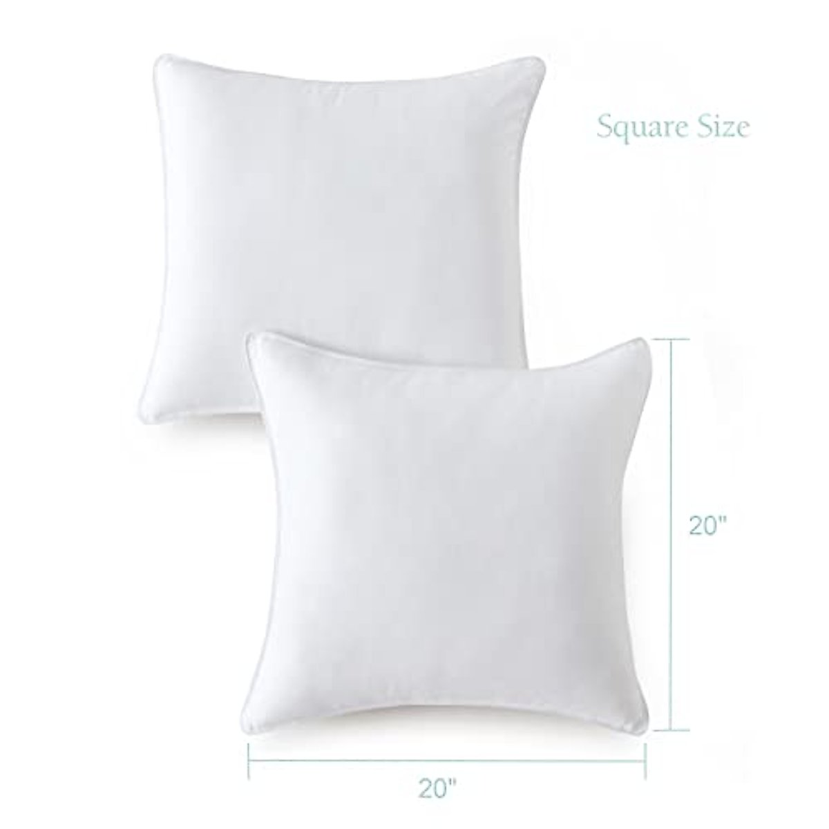 Seward Park Throw Pillow Inserts 20 x 20 in Set of 2 for Couch and Sofa, Soft Fluffy Square Form Down Alternative Cushion Decorative Pillow Inserts