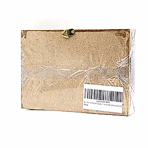 Real Exotic Elephant Dung Beetle (Heliocopris dominus (Bates, 1868) Open Wings Female – preserved taxidermy insect bug collection framed in a wooden box as pictured